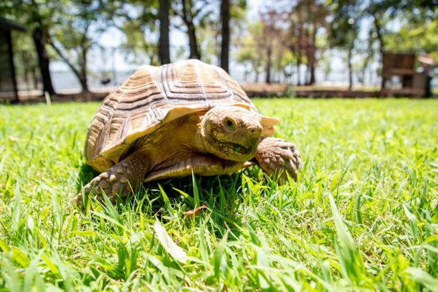 Campground Details - Bernice State Park, OK - Oklahoma State Parks