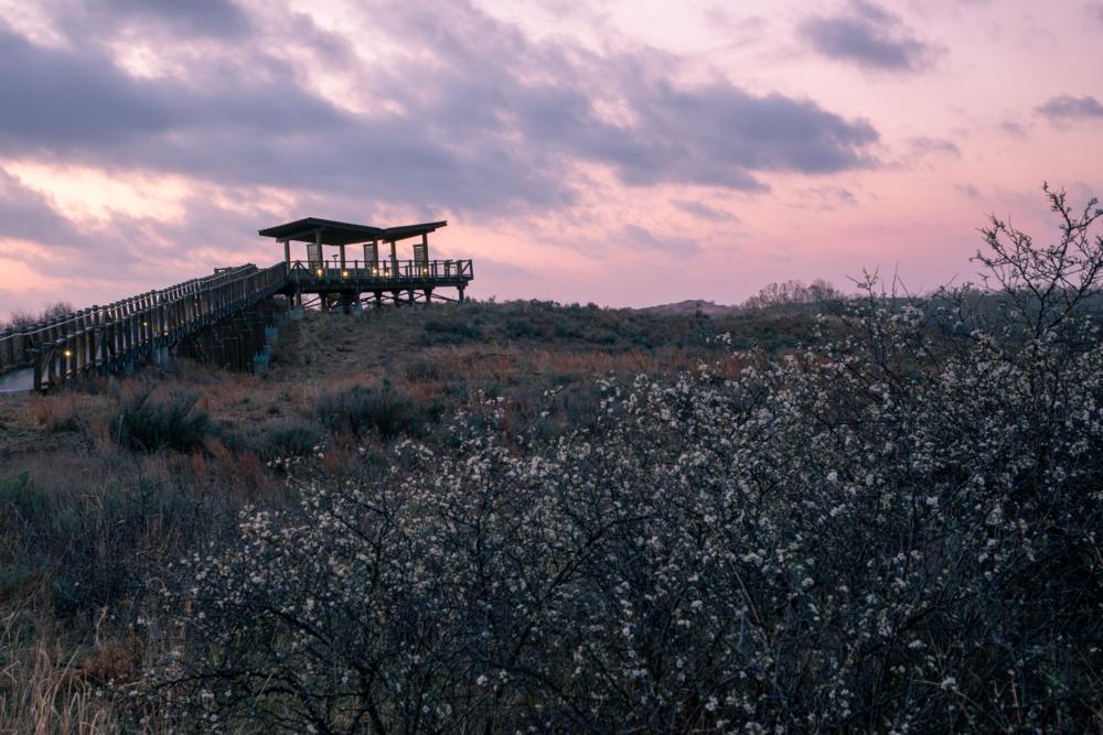 Campground Details - Little Sahara State Park, OK - Oklahoma State Parks