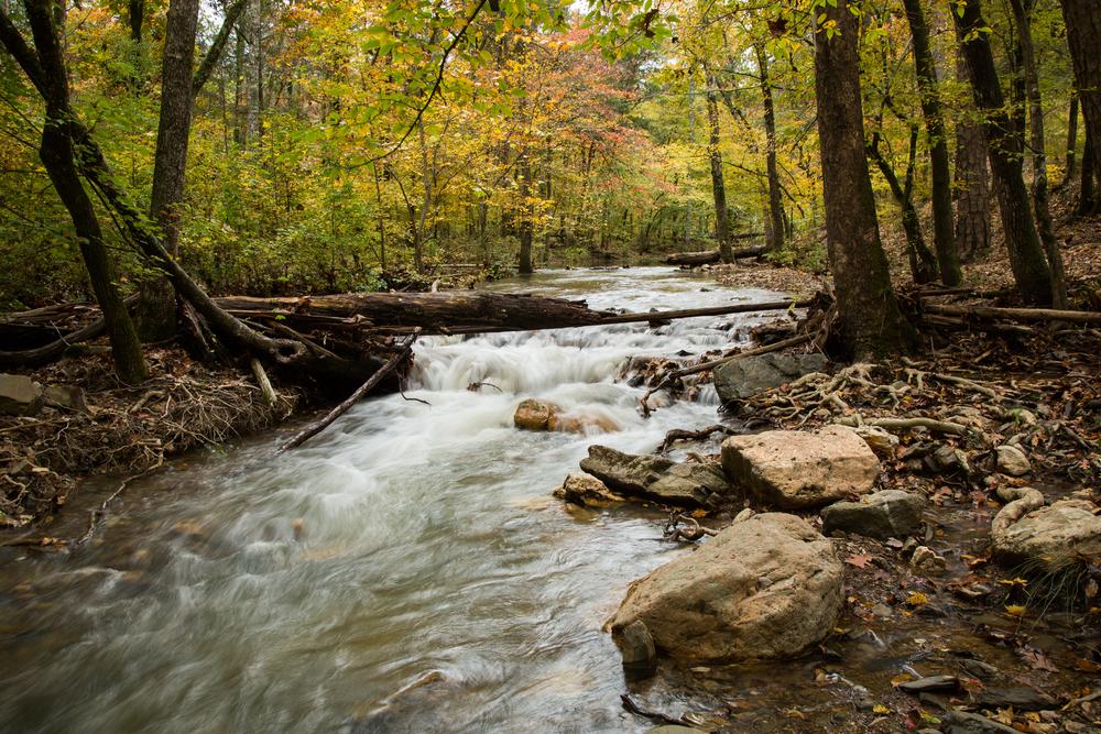 Campsite Details - 1 Day Parking Pass, Beavers Bend State Park, OK ...